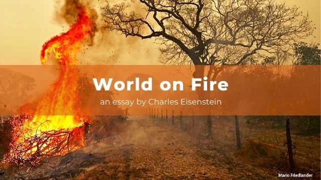 World on Fire | Path to the Maypole of Wisdom