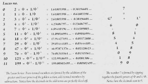 Geometry of Plants | Path to the Maypole of Wisdom