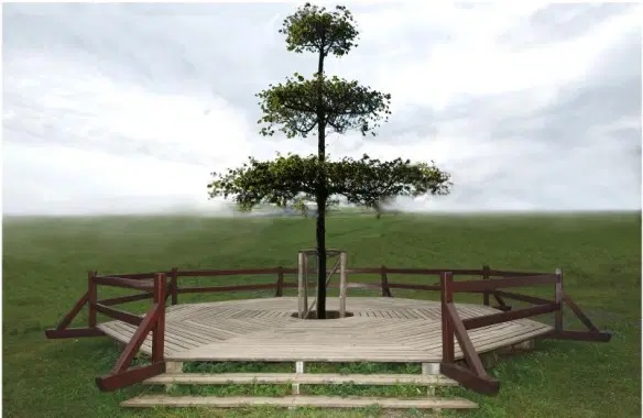 Symbolism of the linden tree | Path to the Maypole of Wisdom