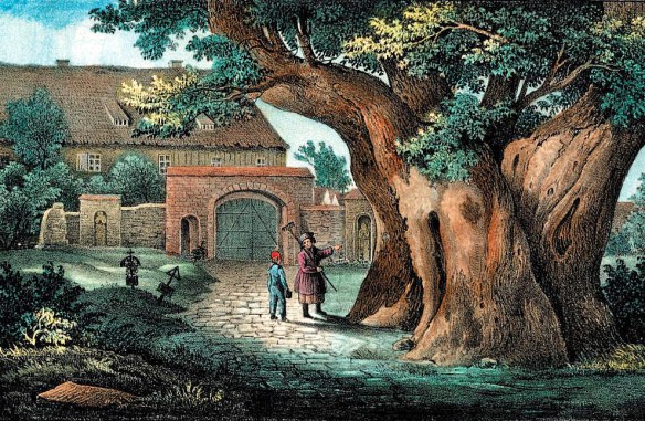 Symbolism of the linden tree | Path to the Maypole of Wisdom