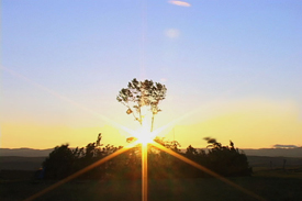 Sun Dance of the Native Spirits of Plains Indians and Warli People of ...